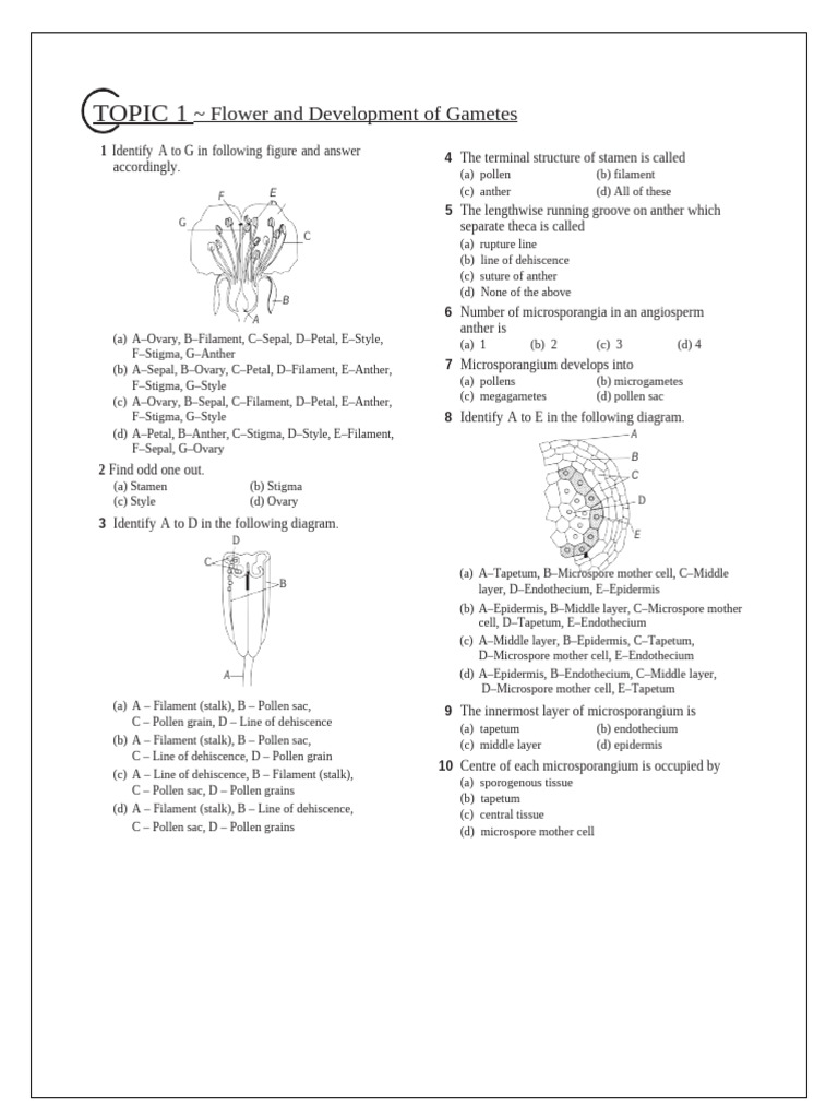 Biology-Sexual Reproduction in Flowering Plant | PDF | Flowers ...