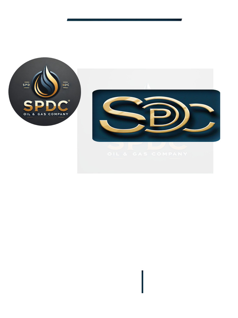 SPDC Company 101 | PDF