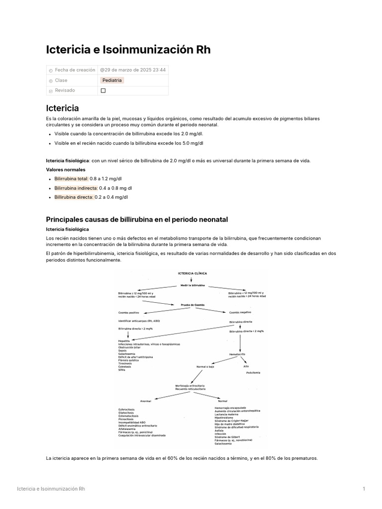 Ictericia e Isoinmunización RH | PDF | Especialidades Medicas | Enfermedades y trastornos