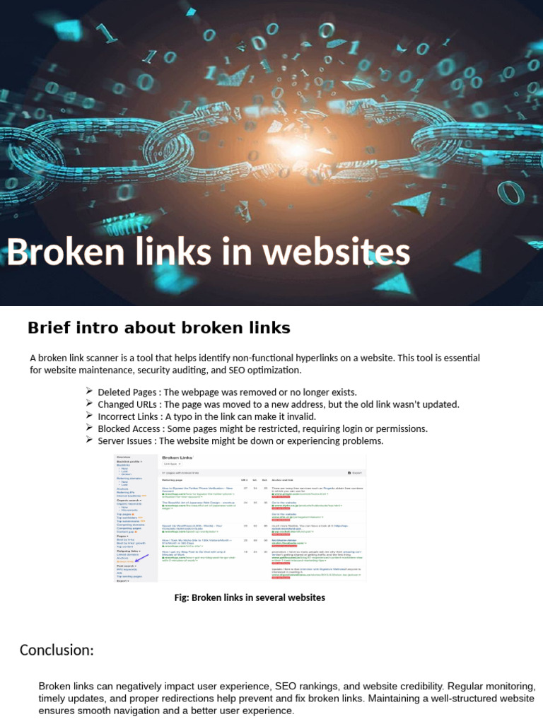 Managing Broken Links for SEO | PDF