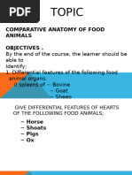 PiG Anatomy | PDF