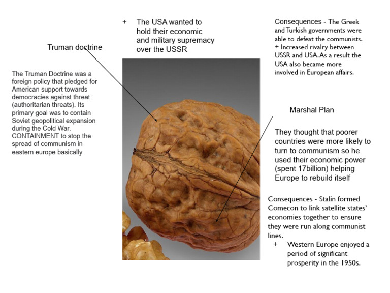 Truman Doctrine and Marshall Plan Overview | PDF