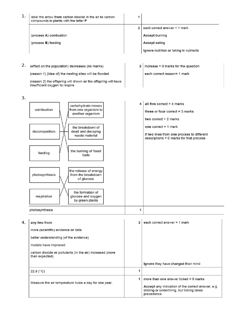 Answer Key Unit 1 Revision | PDF