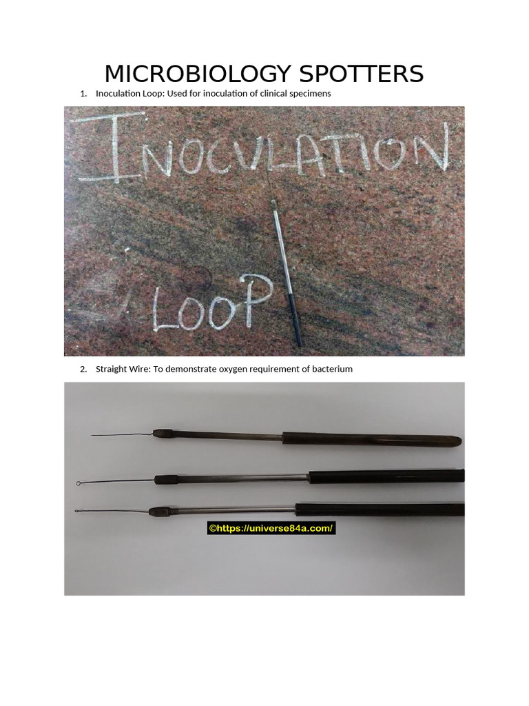 Microbiology Spotters | PDF