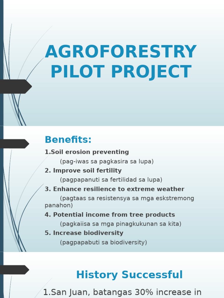 Group 2 PPT Agroforestry Pilot Project | PDF | Forest Management | Agriculture