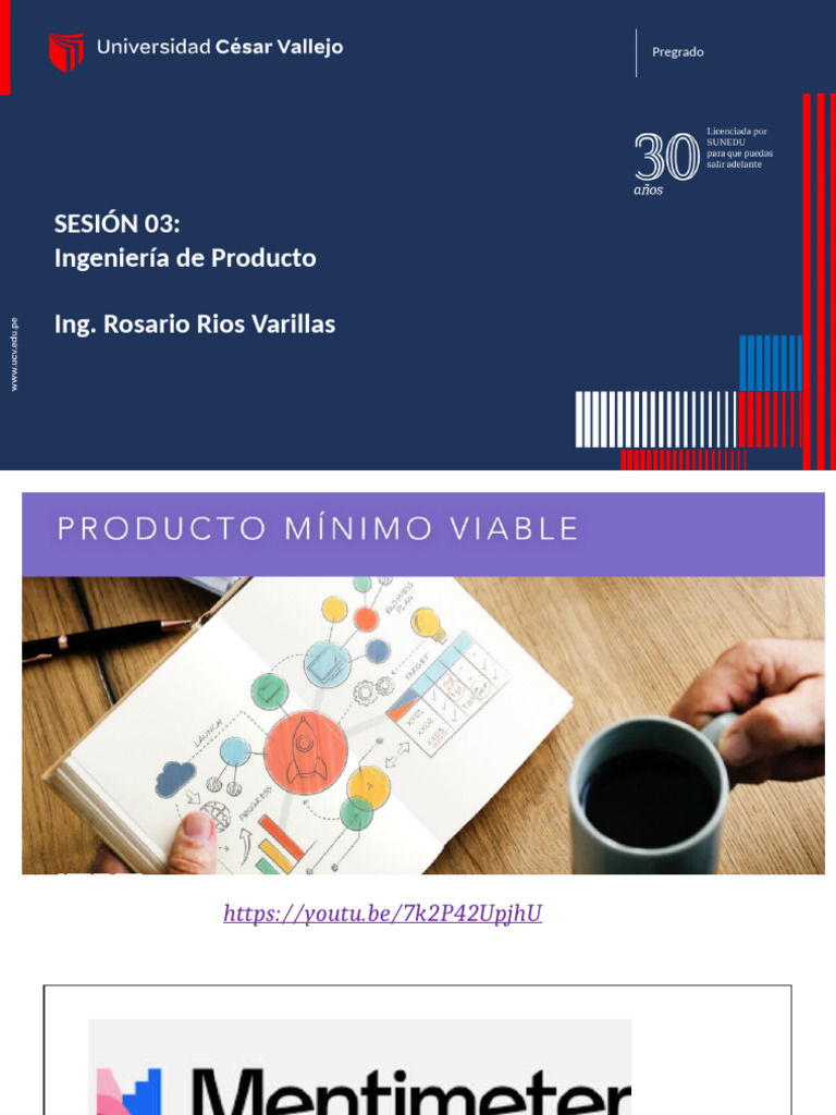 Producto Mínimo Viable: Definición y Uso | PDF