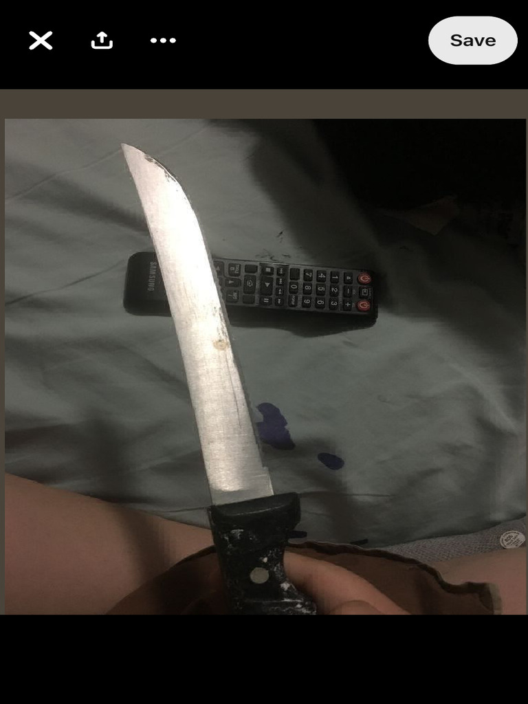 httpswww.pinterest.compin583356958046569871#imgViewer | PDF