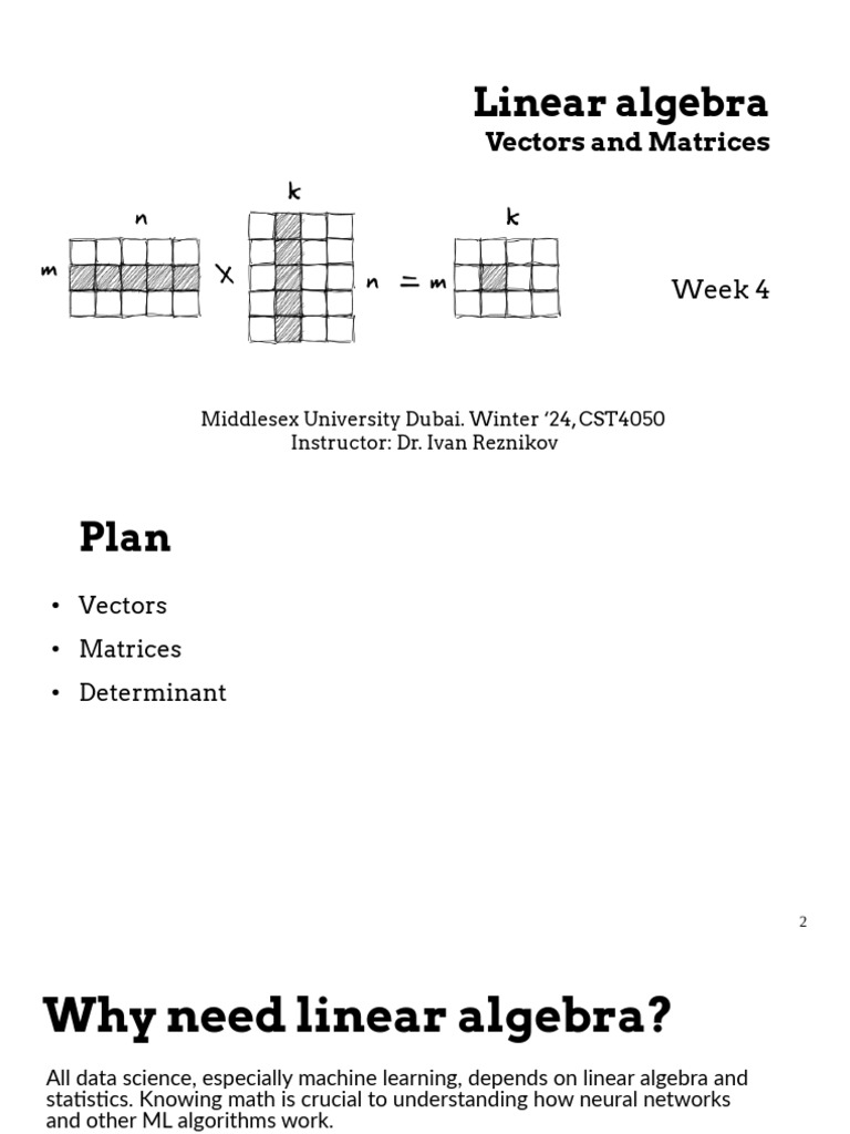 Introduction to Linear Algebra | PDF | Determinant | Matrix (Mathematics)