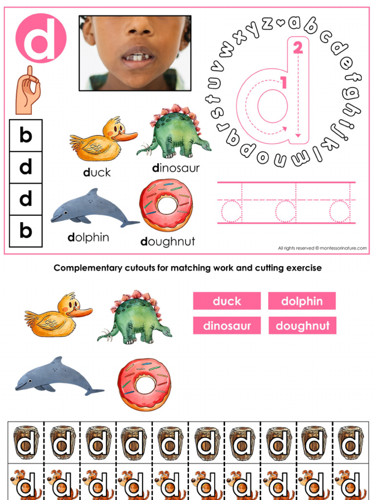 Letter D Activity Page Montessori Nature Free Printables | PDF