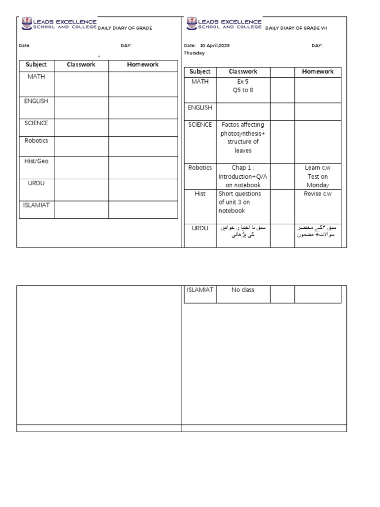 Daily Diary 6,7-1 | PDF
