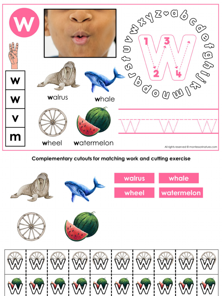 Letter W Activity Page. Montessori Nature Printable | PDF