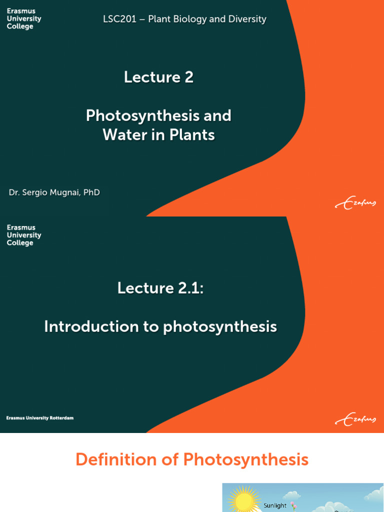 Photosynthesis and Water in Plants | PDF | Osmosis | Photosynthesis