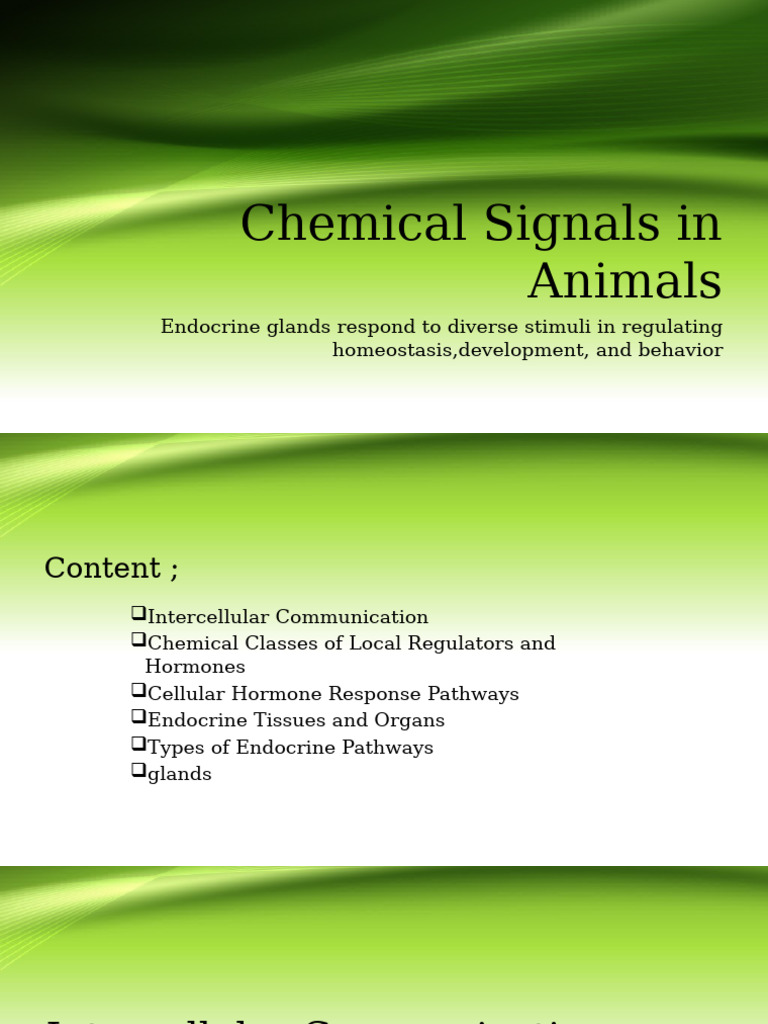 3.Chemical Signals in Animals | PDF | Hormone | Cell Signaling