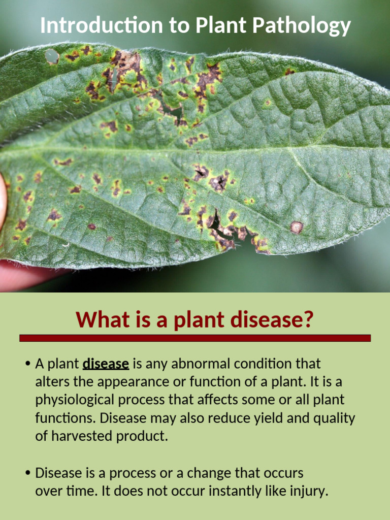 PLANT PATHOLOGY Slides in Word | PDF | Pathogen | Infection
