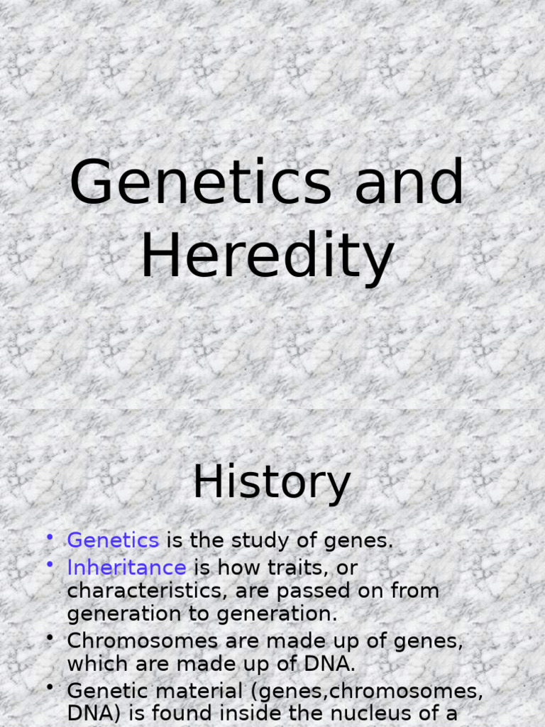 Form 4 14 Genetics and Heredity | PDF | Dominance (Genetics) | Allele