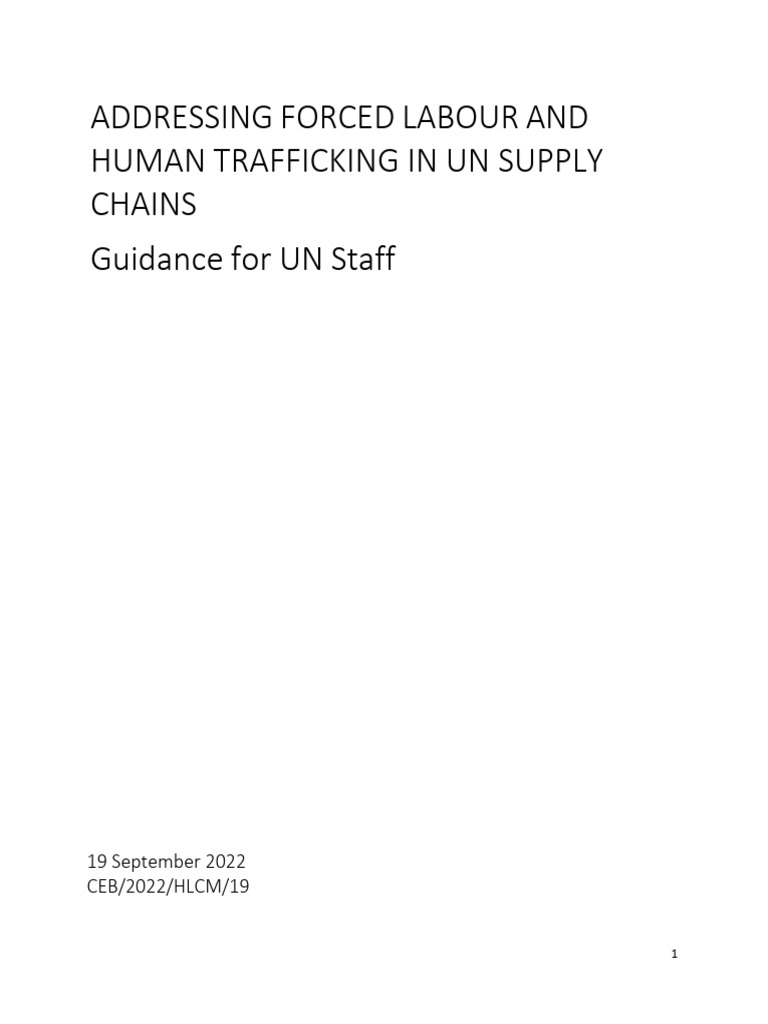 Guidance For UN Staff On HTFL in UN Supply Chains | PDF | Human ...