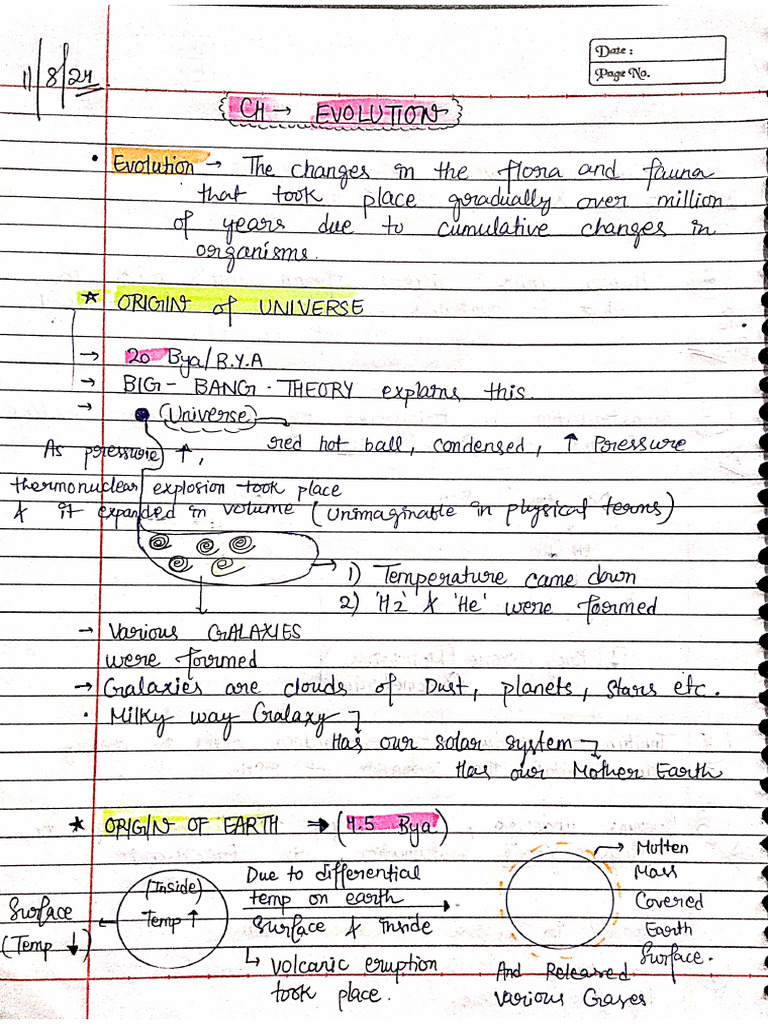 Evolution Notes | PDF