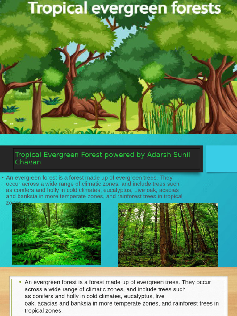 Geography Enrichment Activity | PDF