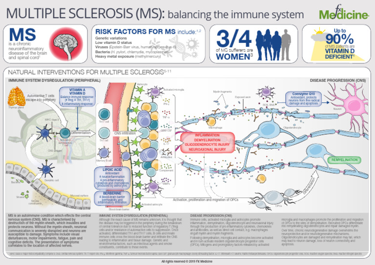 Multiple Sclerosis Infographic | PDF | Myelin | Multiple Sclerosis