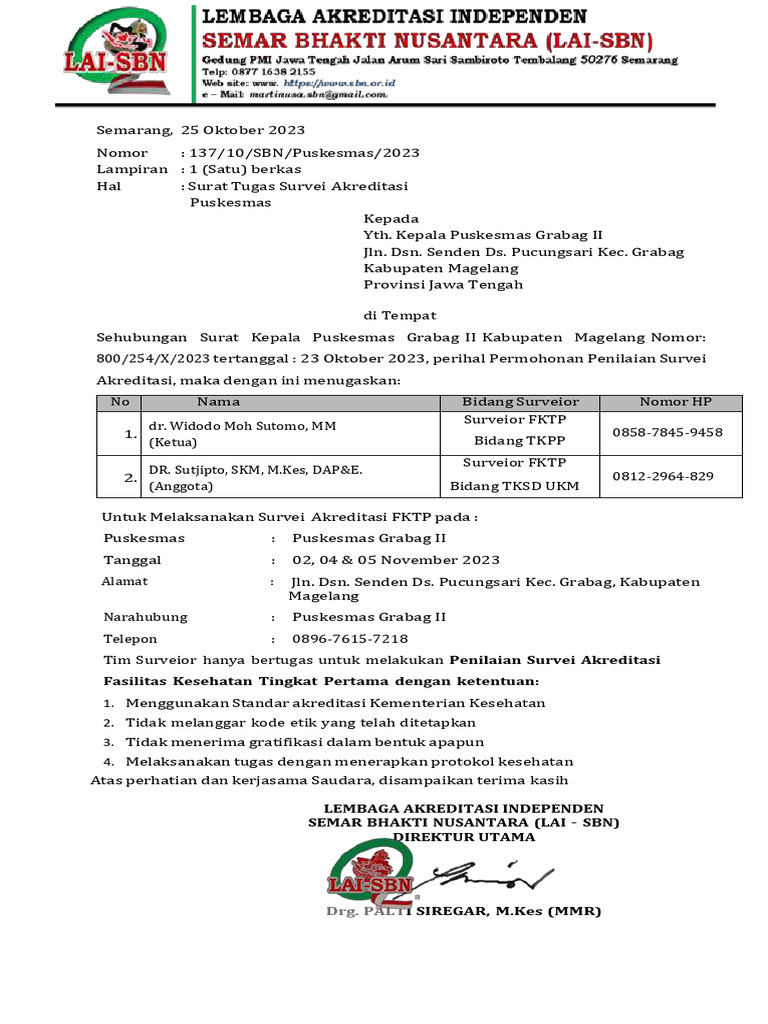 Surtug Surveior | PDF