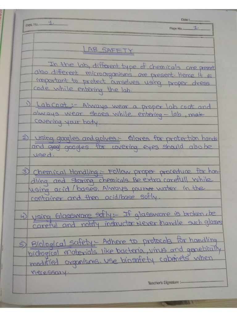 IB Lab Reports | PDF