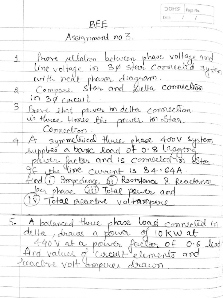 Bee Assignment e Division | PDF