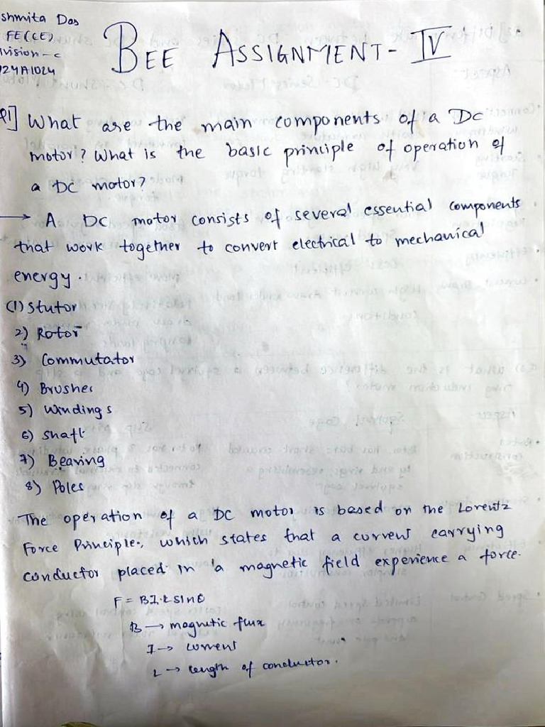 Bee Assignment Division C | PDF