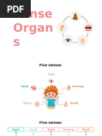 Sense Organs Worksheets for Kids | PDF
