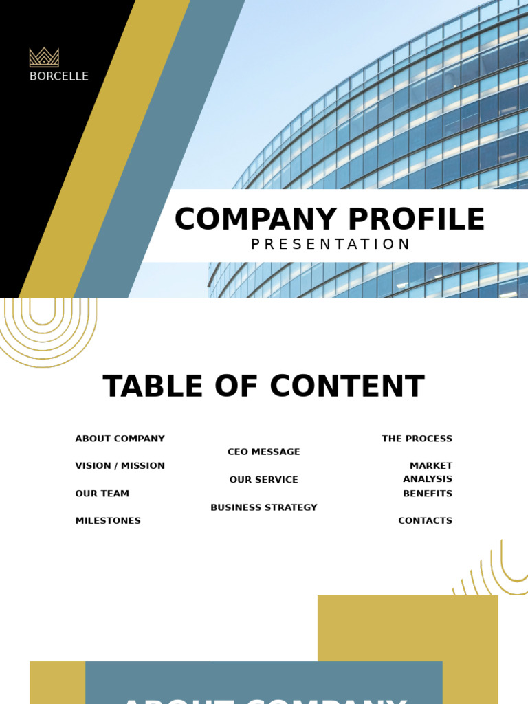 Modern Company Profile Overview | PDF