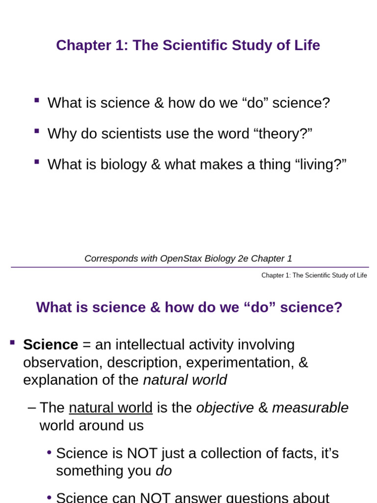 Understanding the Scientific Method in Biology | PDF | Experiment ...