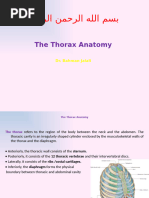 Costal Arch | PDF | Thorax | Thorax (Human Anatomy)