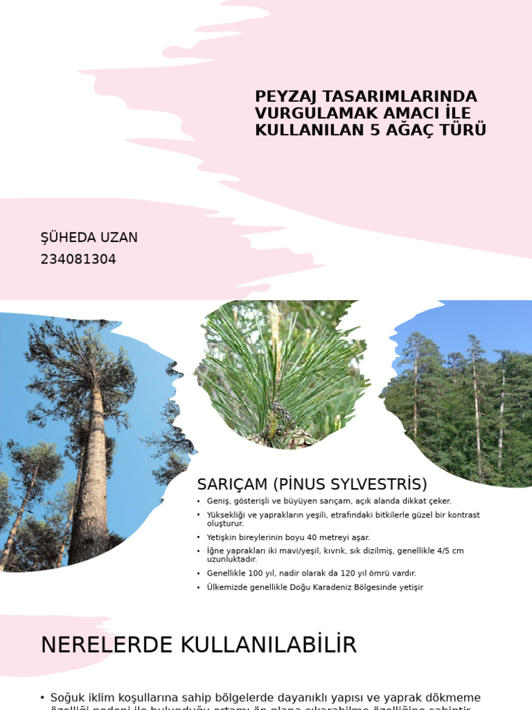 Sunu - Kopyası | PDF