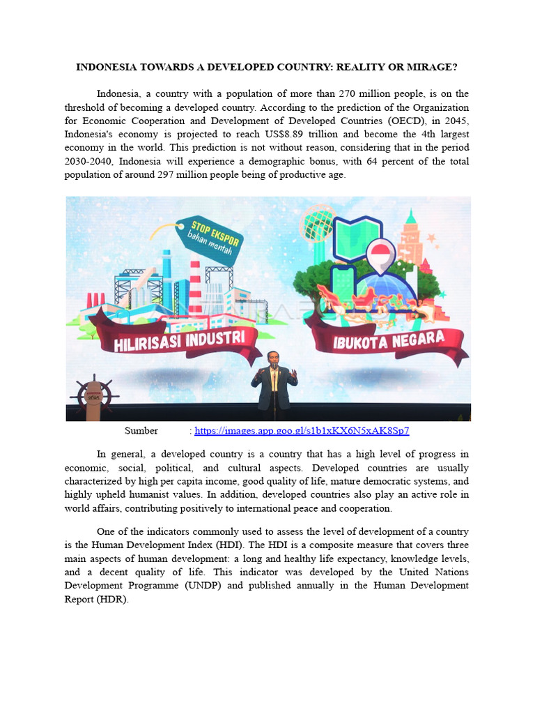 Indonesia Towards A Developed Country Reality or Mirage | PDF ...