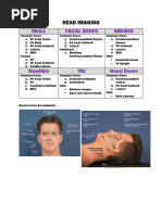 Facial and Skull Bone Positioning | PDF