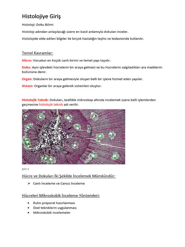 Histolojiye Giris 1 Temel Kavramlar Ve Histolojik Teknik | PDF