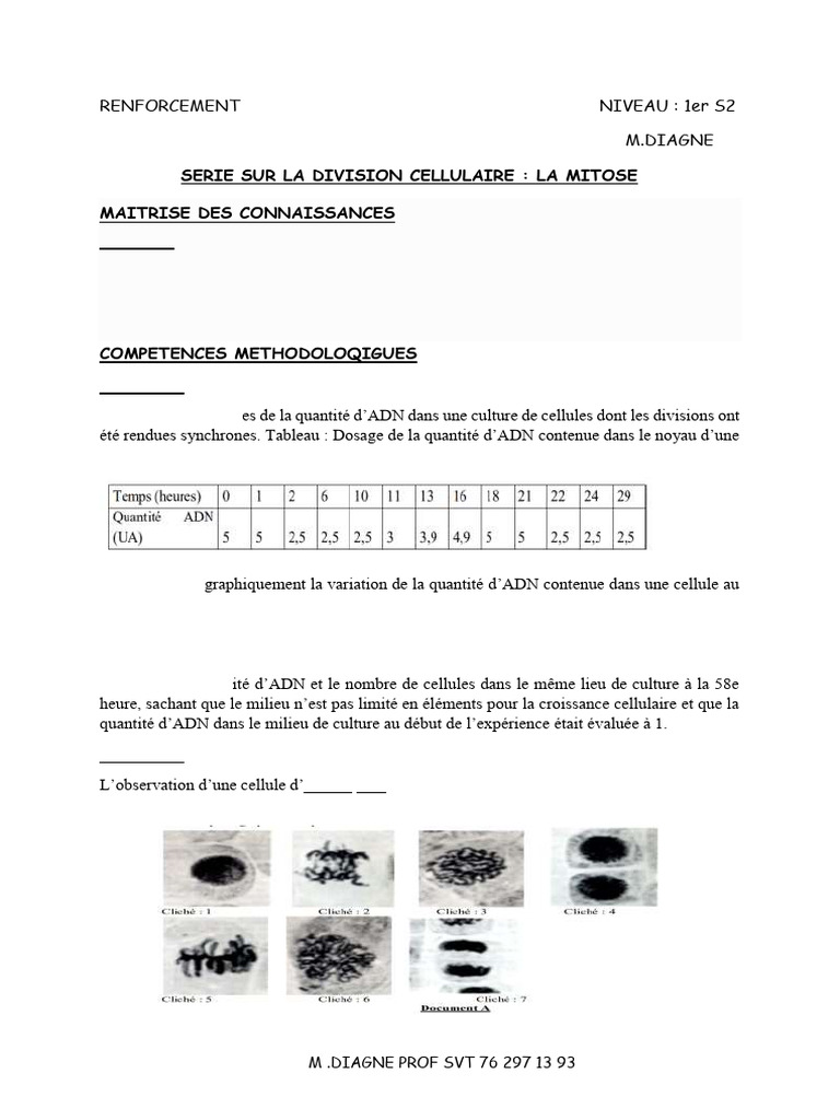 Série sur la mitose et la division cellulaire | PDF | Cellule (Biologie ...