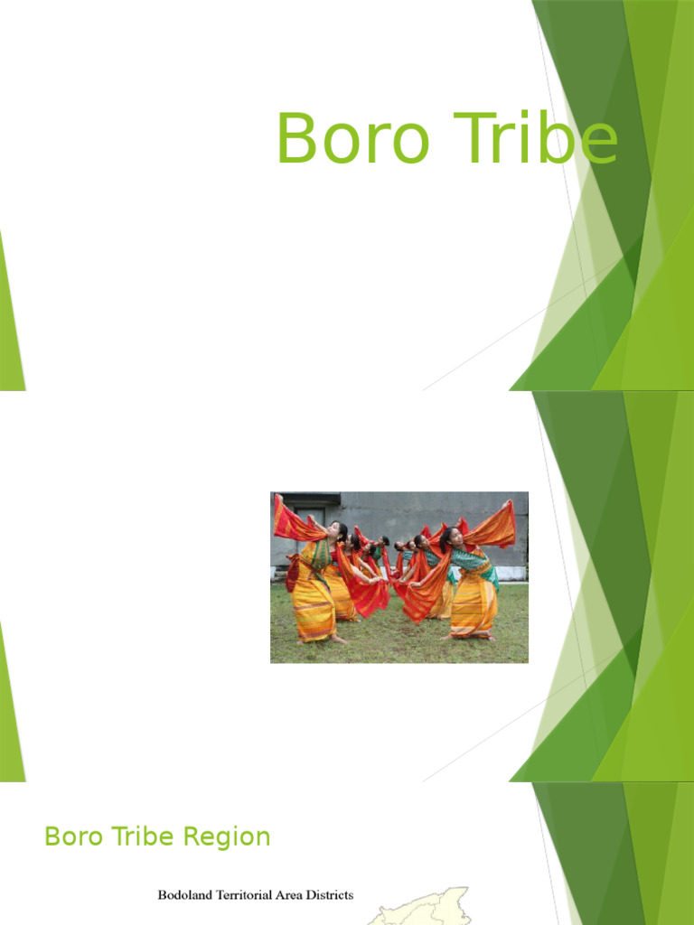 Boro Tribe: Culture and Rituals | PDF
