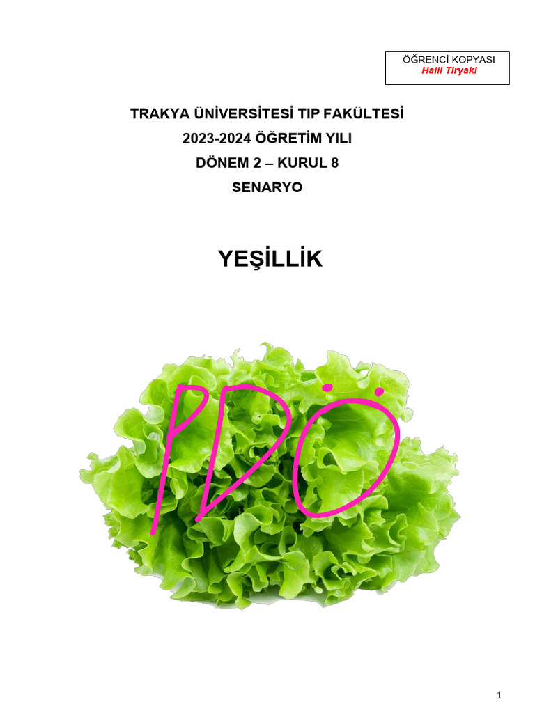 Pdö toplu | PDF