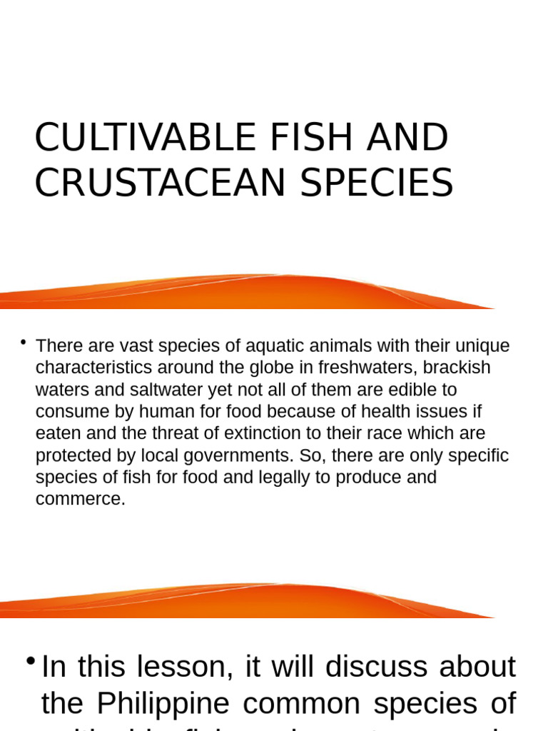 Cultivable Fish and Crustacean Species | PDF | Earth Sciences | Ecology