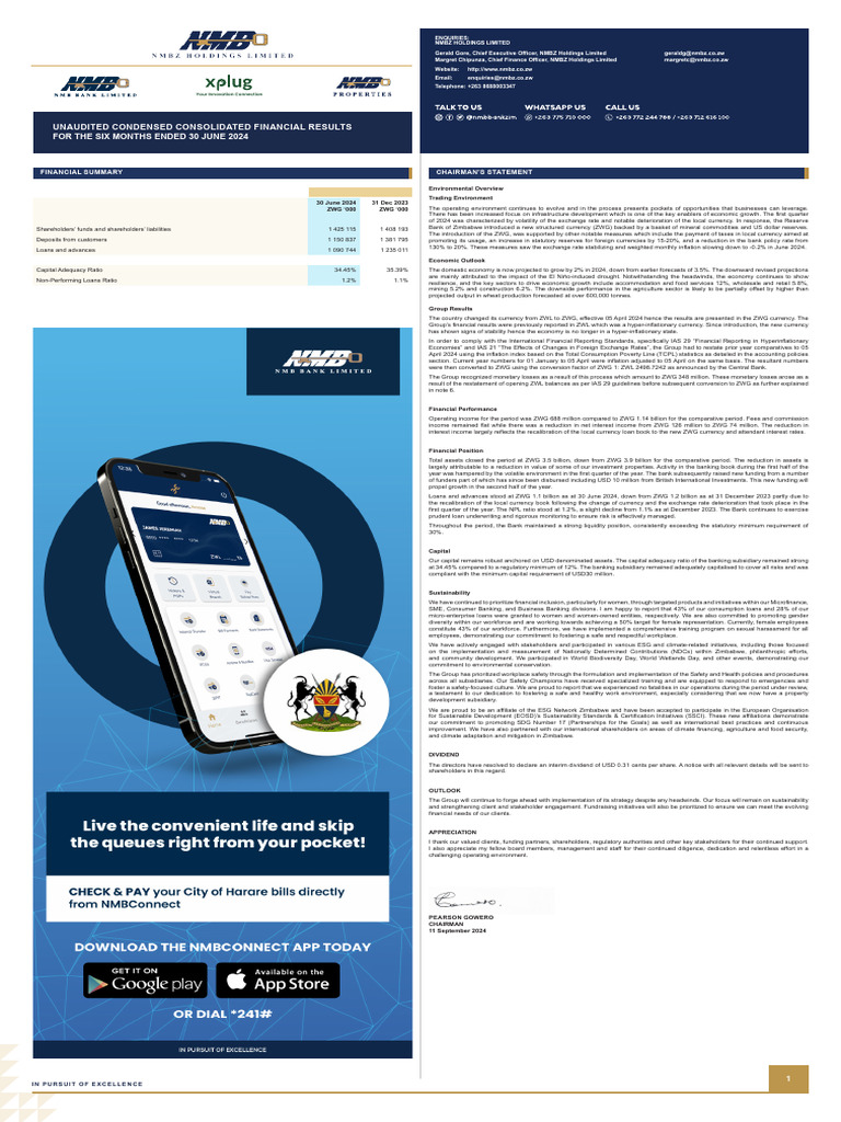 NMBZ Holdings Half Year Financial Results 30 June 2024 | PDF ...