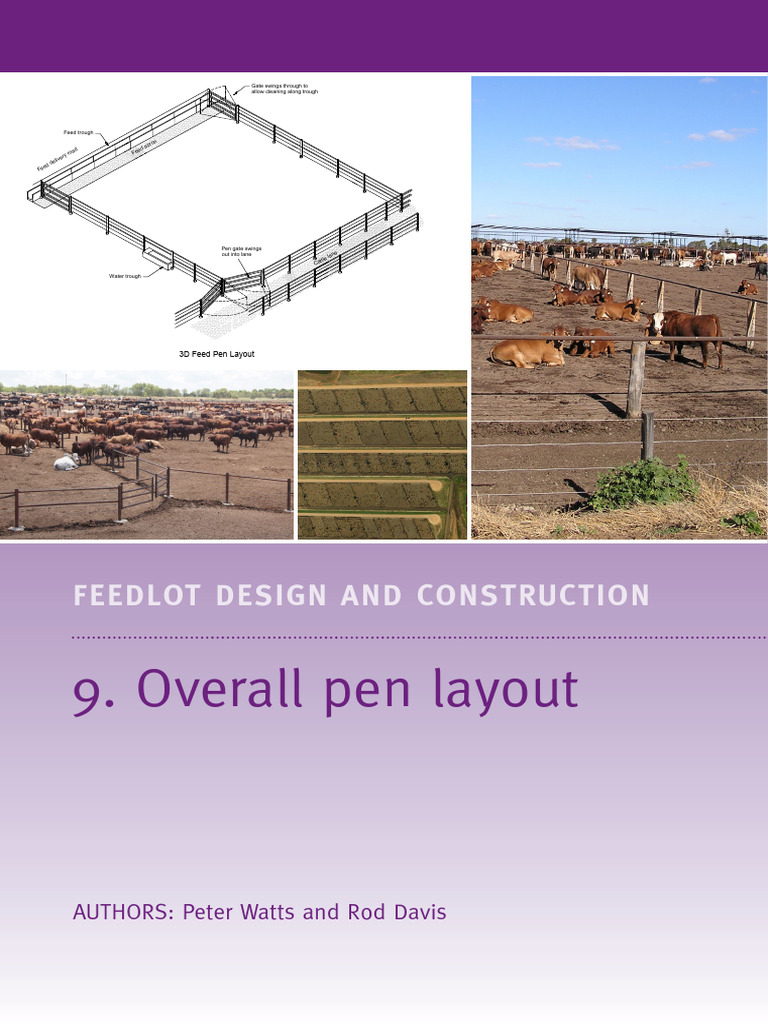 Feedlot Pen Design and Layout Guide | PDF | Rain | Cattle