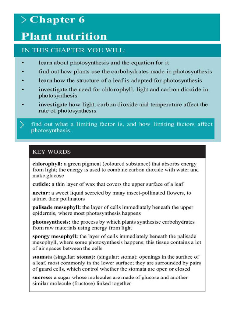 CHAPTER 6 PLANT NUTRITION Cambridge Biology | PDF | Photosynthesis ...