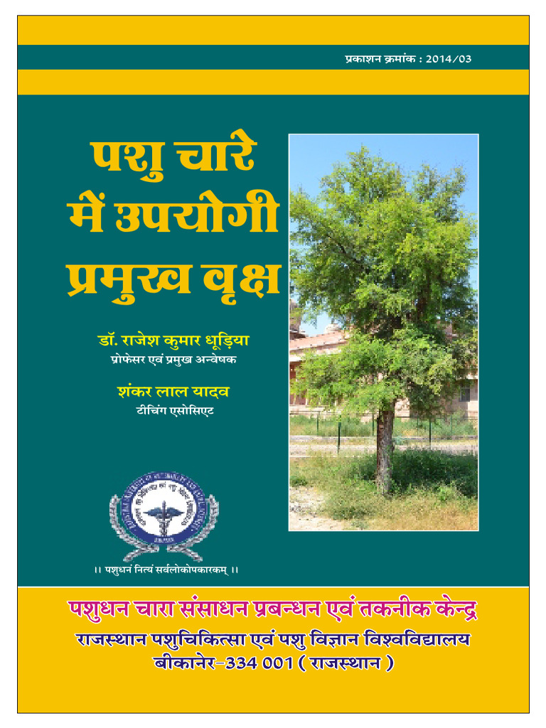 Analysis of Prosopis Species in India | PDF