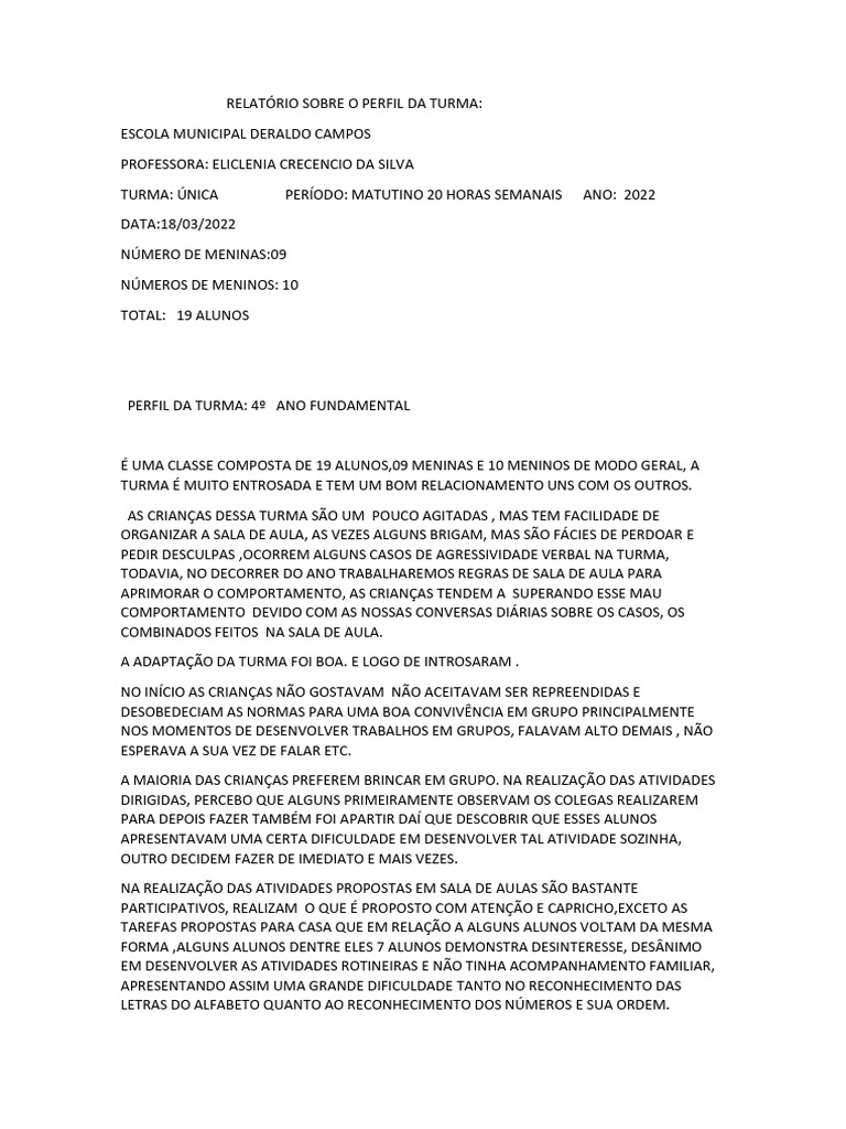 Relatório Sobre o Perfil Da Turma 4º Ano Professora Elly | PDF