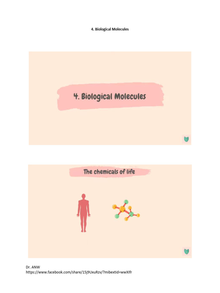 Overview of Biological Molecules | PDF | Biomolecules | Carbohydrates