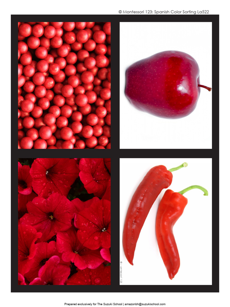 Montessori 123 Spanish colors with photos La522 (1) | PDF
