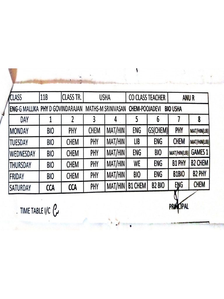 Class 11 B Time Table | PDF