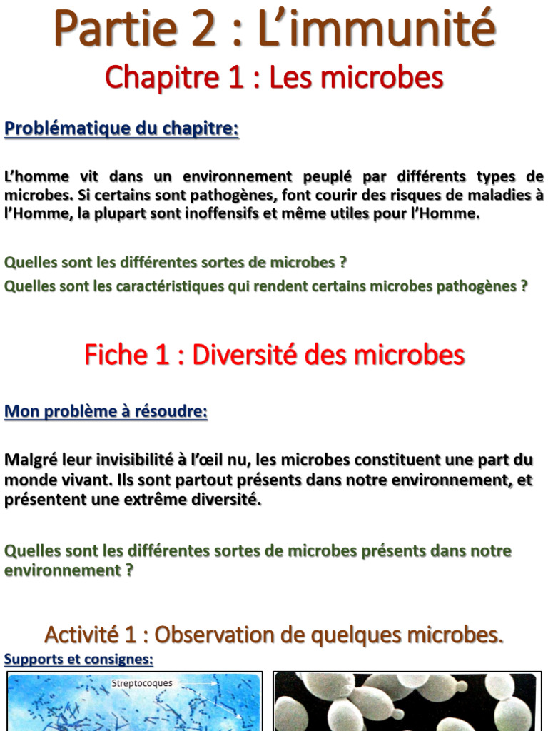 Les Microbes | PDF | Micro-organisme | Agent infectieux