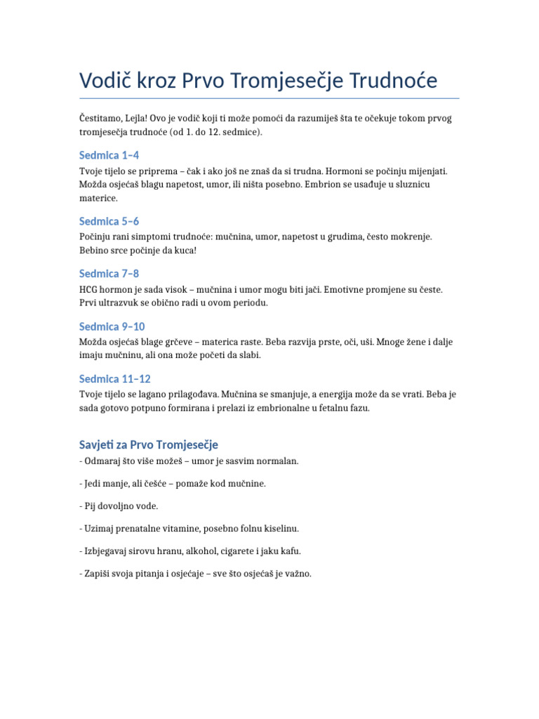 Vodic Prvo Tromjesecje | PDF