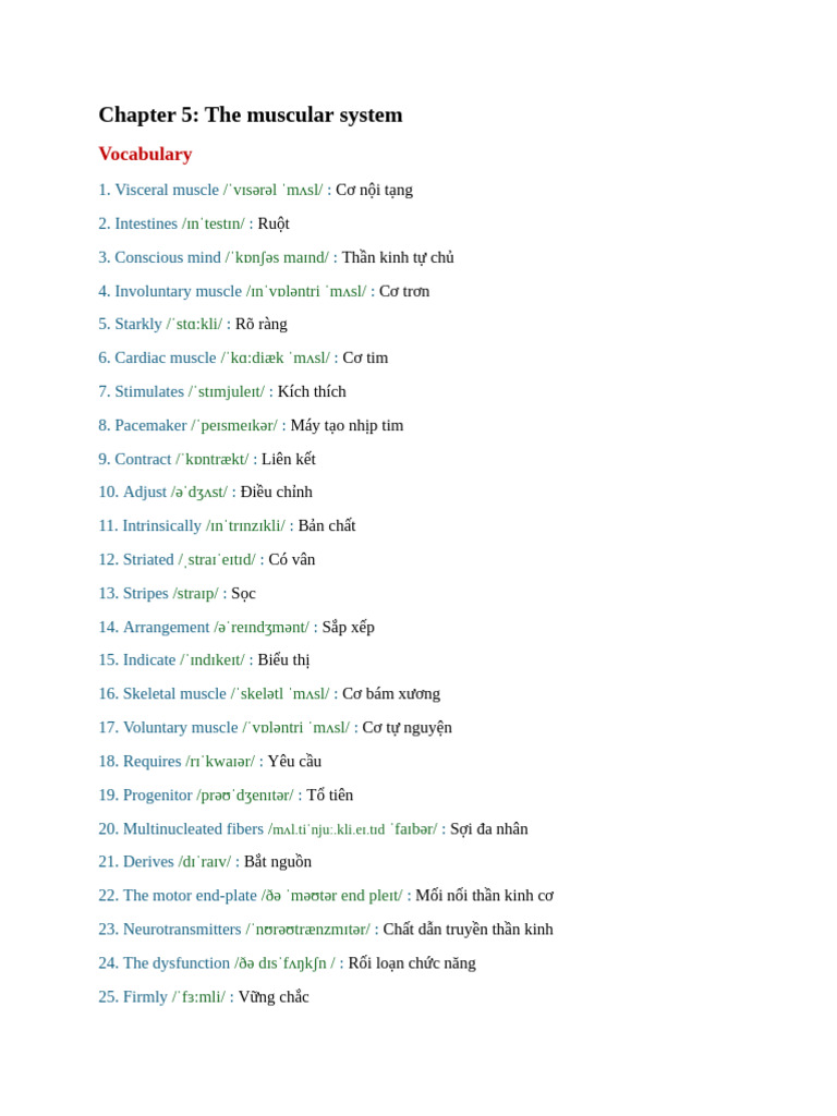 Day 3 - Vocabulary - The Muscular System | PDF